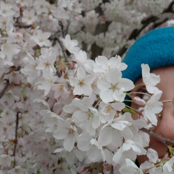 Outerbridge Magic Homepage - Outerbridge Magic