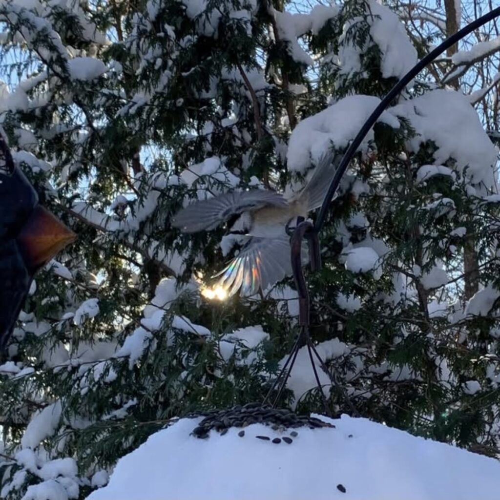 Outerbridge Magic Homepage - Outerbridge Magic